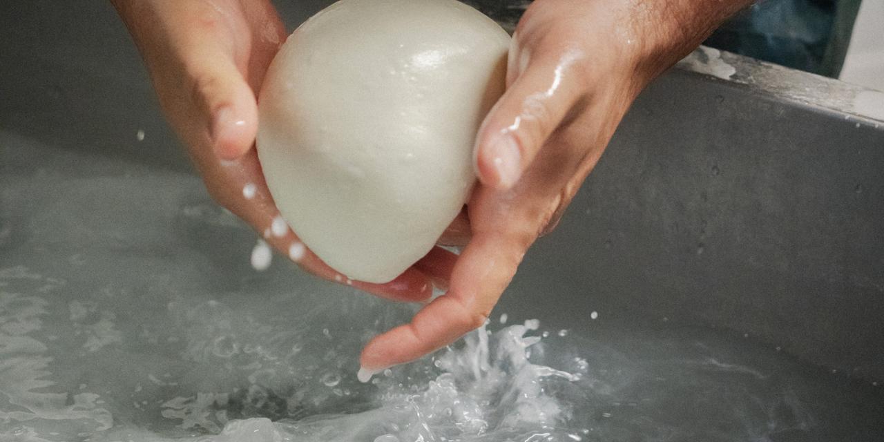 La « mozzarella di bufala » dans tous ses états : fraîche, frite ou fumée