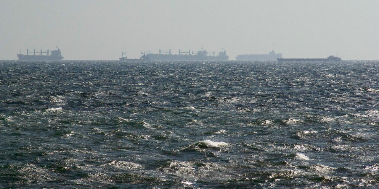 In the Danube Delta, war weakens already threatened ecosystems