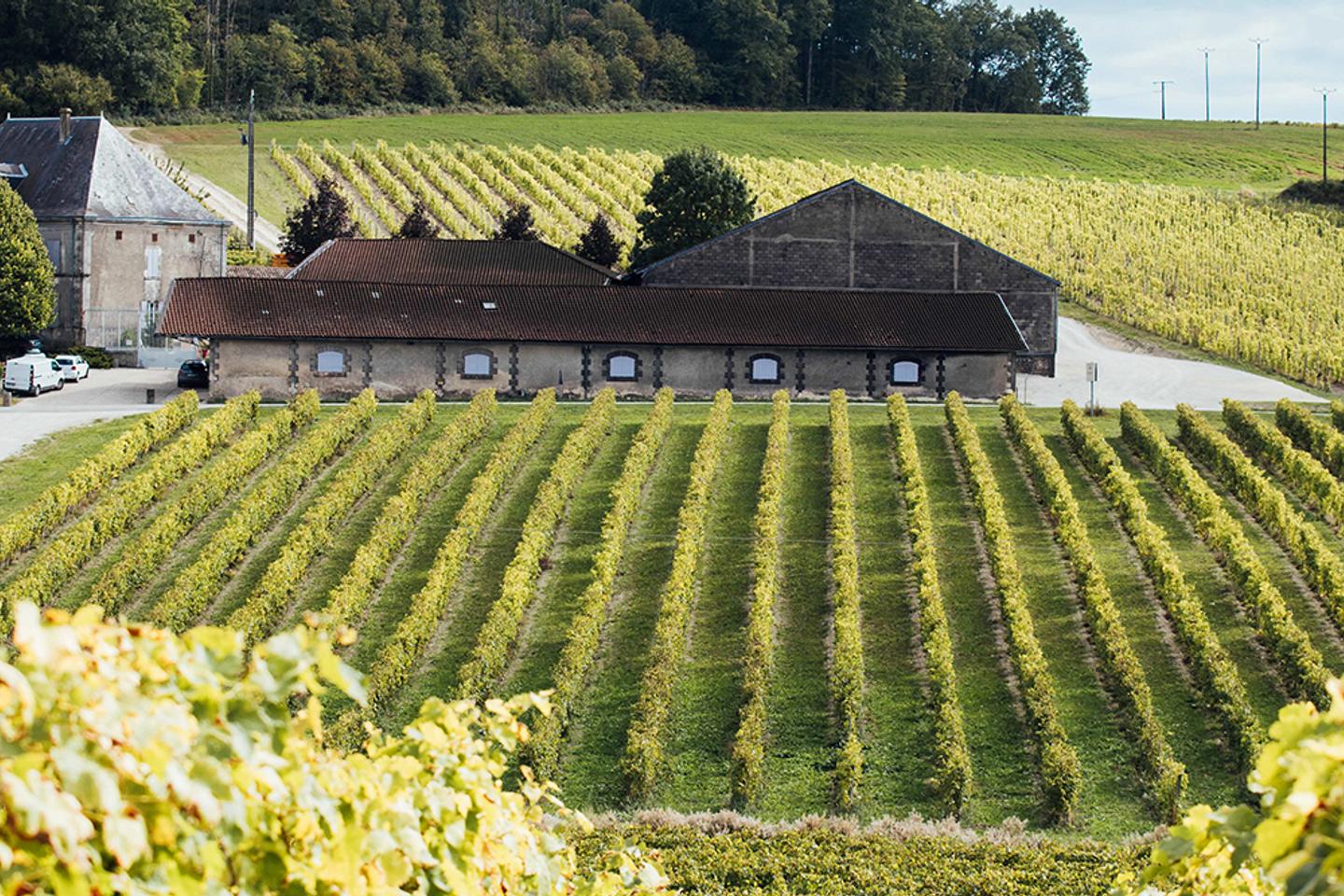 La maison Hine, le flegme britannique d’un cognac charentais