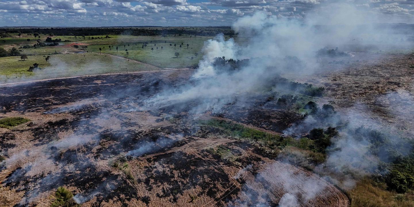 Au Brésil, la plus forte baisse des émissions de gaz à effet de serre ...