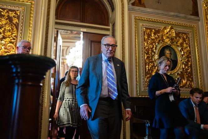 US government shutdown: Democrats split in the Senate, paving the way ...