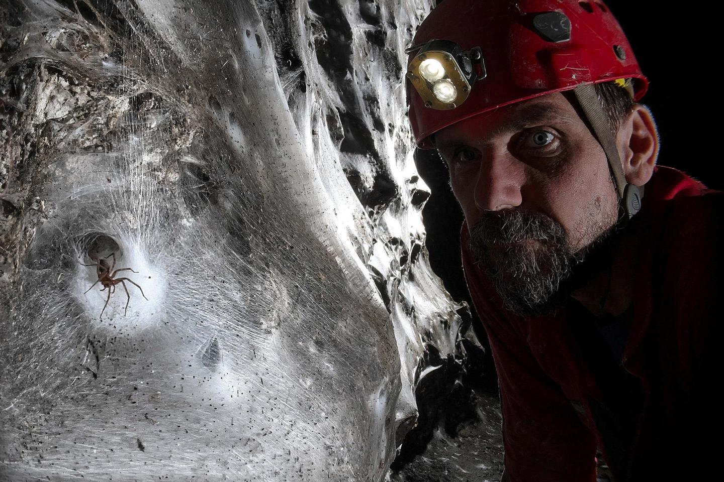 Vidéo. Une toile de 106 mètres abrite plus de 110 000 araignées | The Trendy News