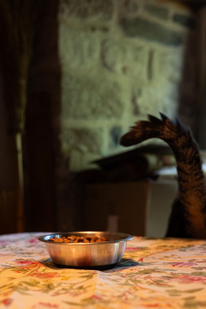 Le matou d’Audrey : « Pour Saturne, je fais un peu moins exactitude aux ...