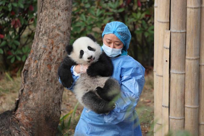 Macron receives rockstar greeting from students in China while wife ...