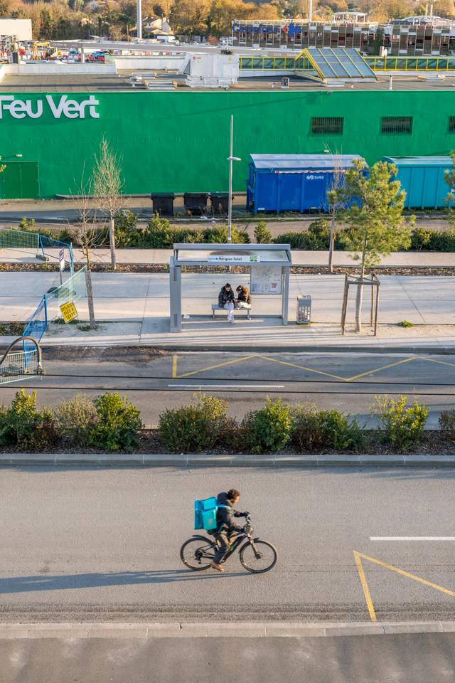 Elevated Views and Urban Renewal: The Canopée Café Belvedere Redefines ...