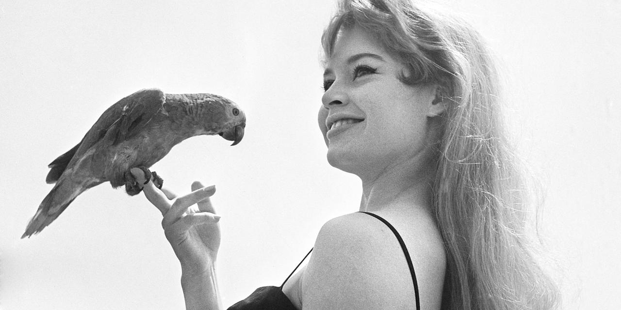 Brigitte Bardot en douze photos marquantes