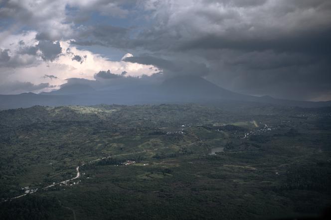 UNESCO sites are havens for rare biodiversity under growing threat