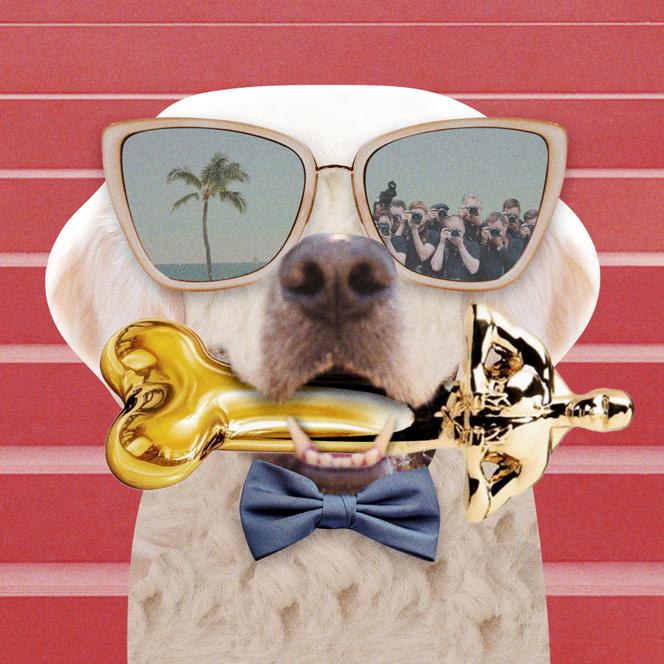 La Palme Dog ou les dessous du star-système animal
