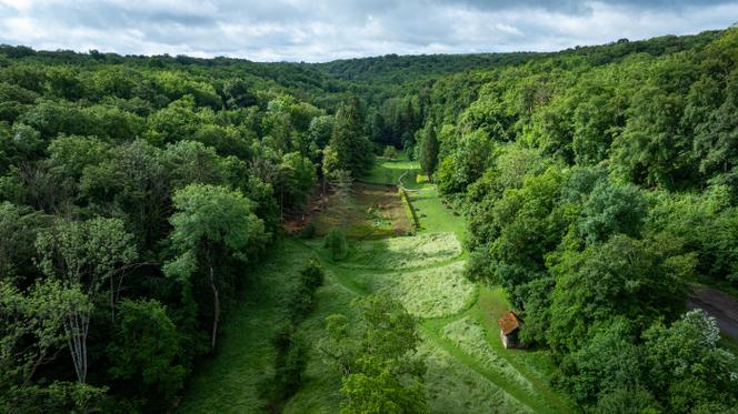 Inside the ancient sanctuary of Sequana, at the source of the Seine